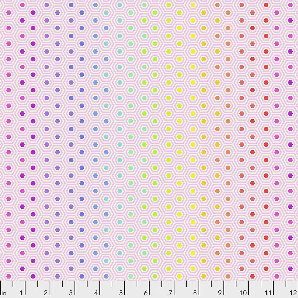 Hexy Rainbow - Shell || Tula's True Colors